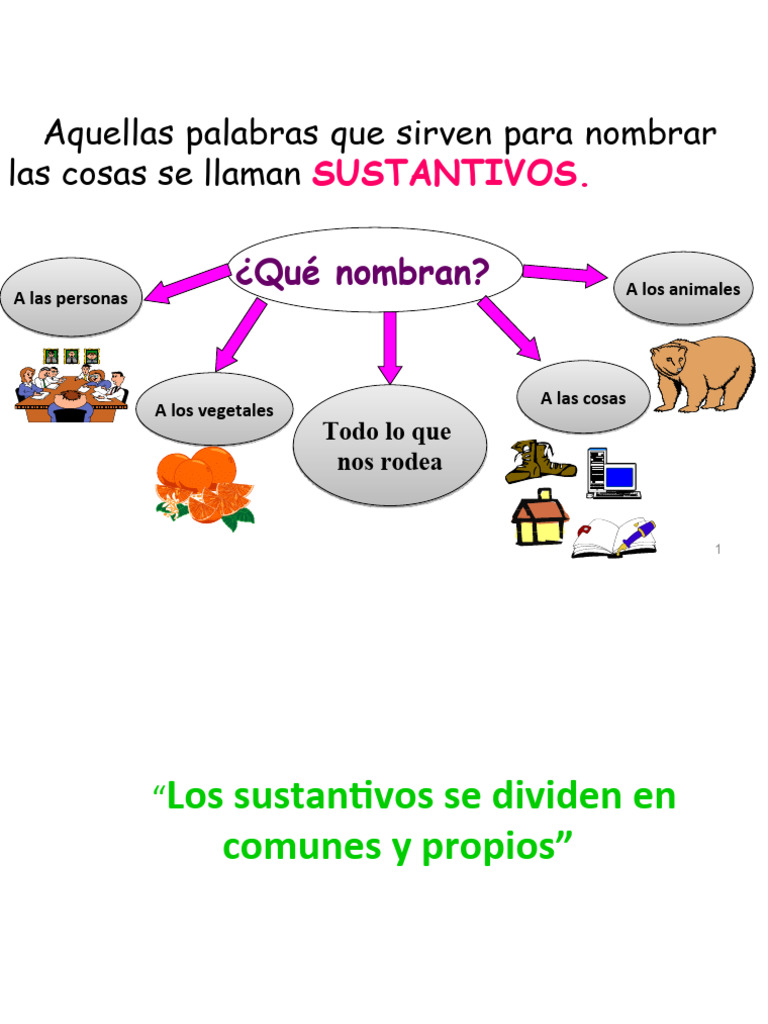 Repaso Sustantivos Articulos Etc Sexto | PDF | Adjetivo | Género gramatical