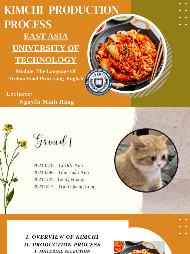 Kimchi | PDF | Fermentation | Food And Drink