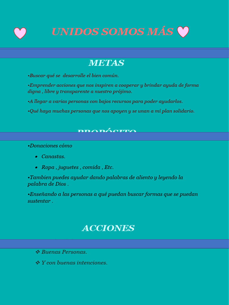 Plan de Acción Solidario | PDF