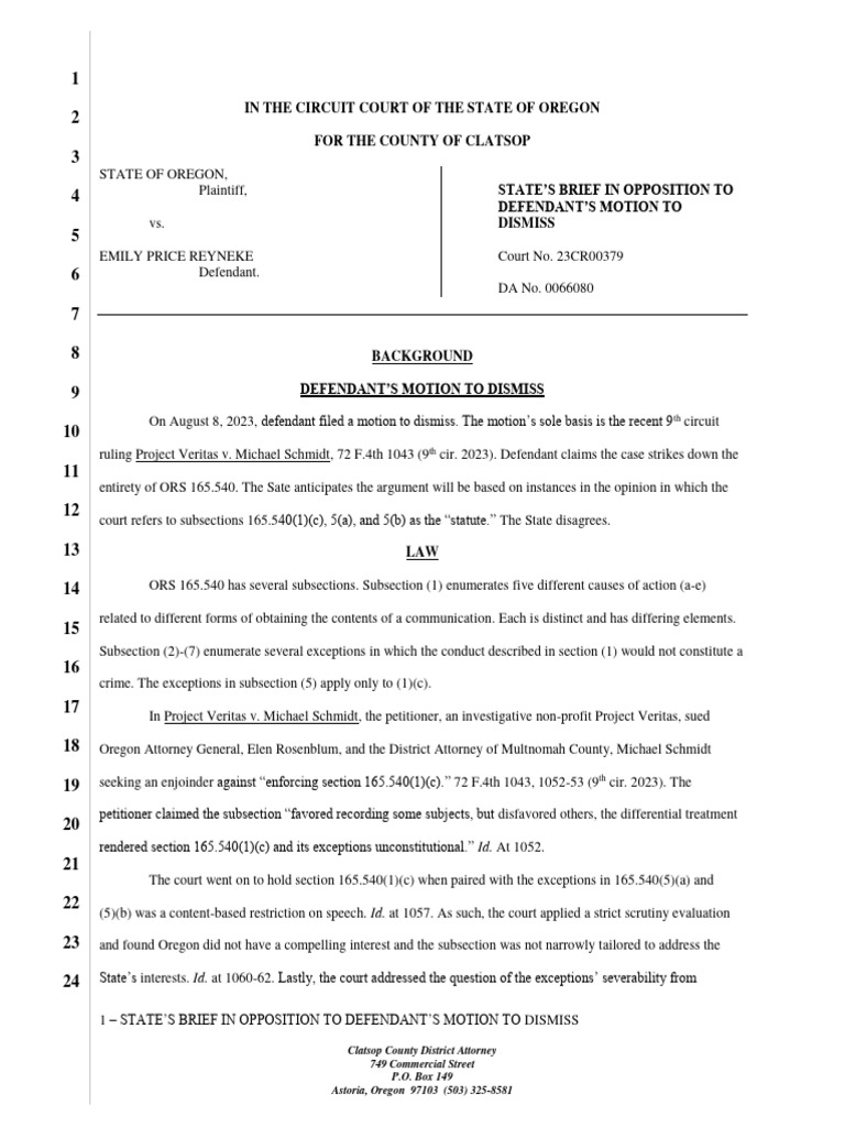 Reyneke Motion Brief Edited | PDF | Freedom Of Speech In The United ...