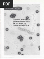 Tabla de antibiograma CLSI 2024 | PDF | Biocidas | Microbiología