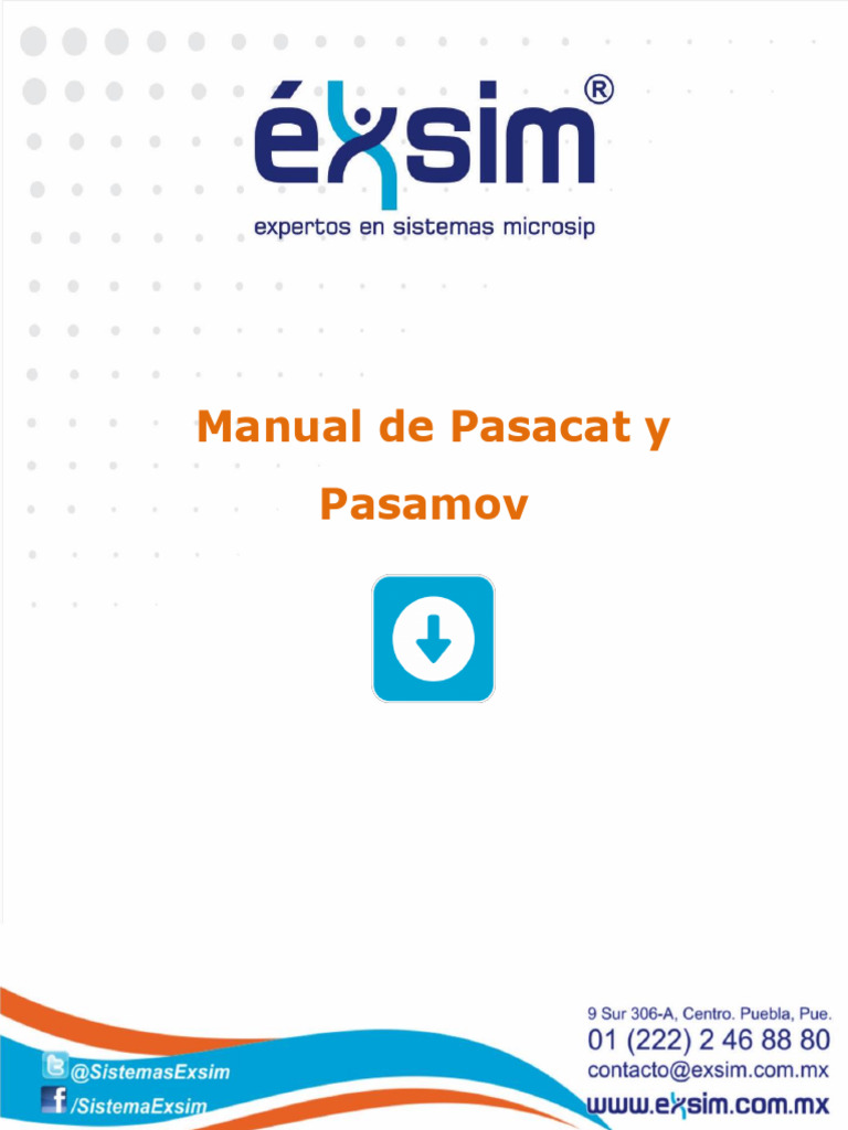 Manual de Importación con Pasacat | PDF | Archivo de computadora | Hoja ...
