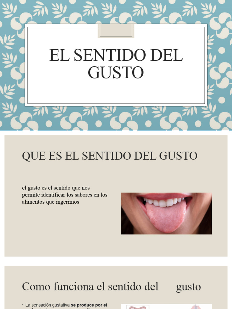 El Sentido Del Gusto | PDF | Gusto | Órgano (anatomía)