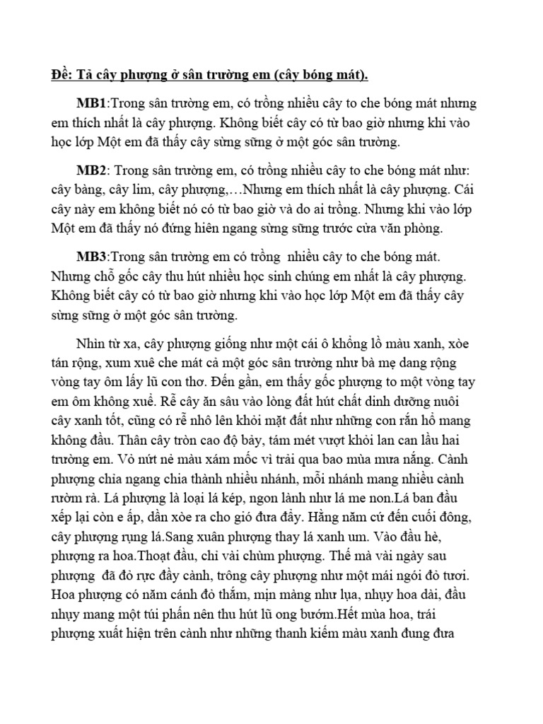 T Cây Phư NG | PDF