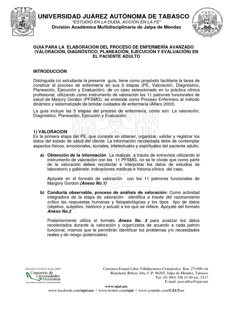 Guia de Valoracion Por Patrones Nanda, Nic y Noc | PDF | Enfermería ...