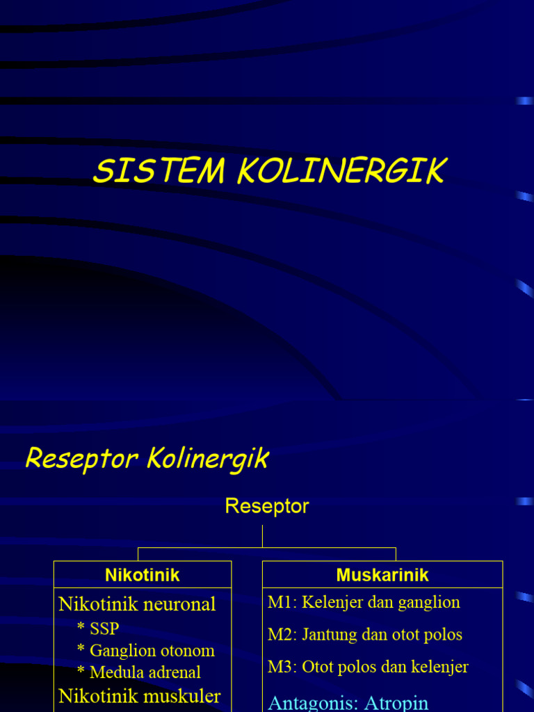 KOLINERGIK | PDF
