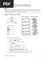 DNA Mutations Lab Answer Key | PDF | Genetic Code | Point Mutation