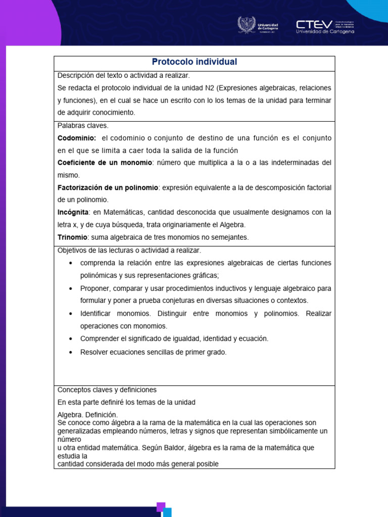 Protocolo Individual | PDF