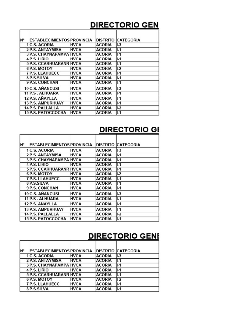 Directorio General Ps Motoy | PDF