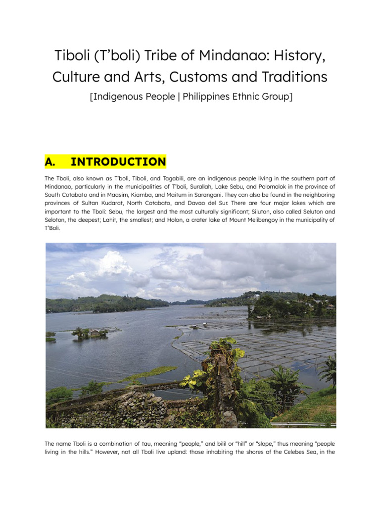 Ardes04 - T'boli | PDF | Childbirth | Mindanao