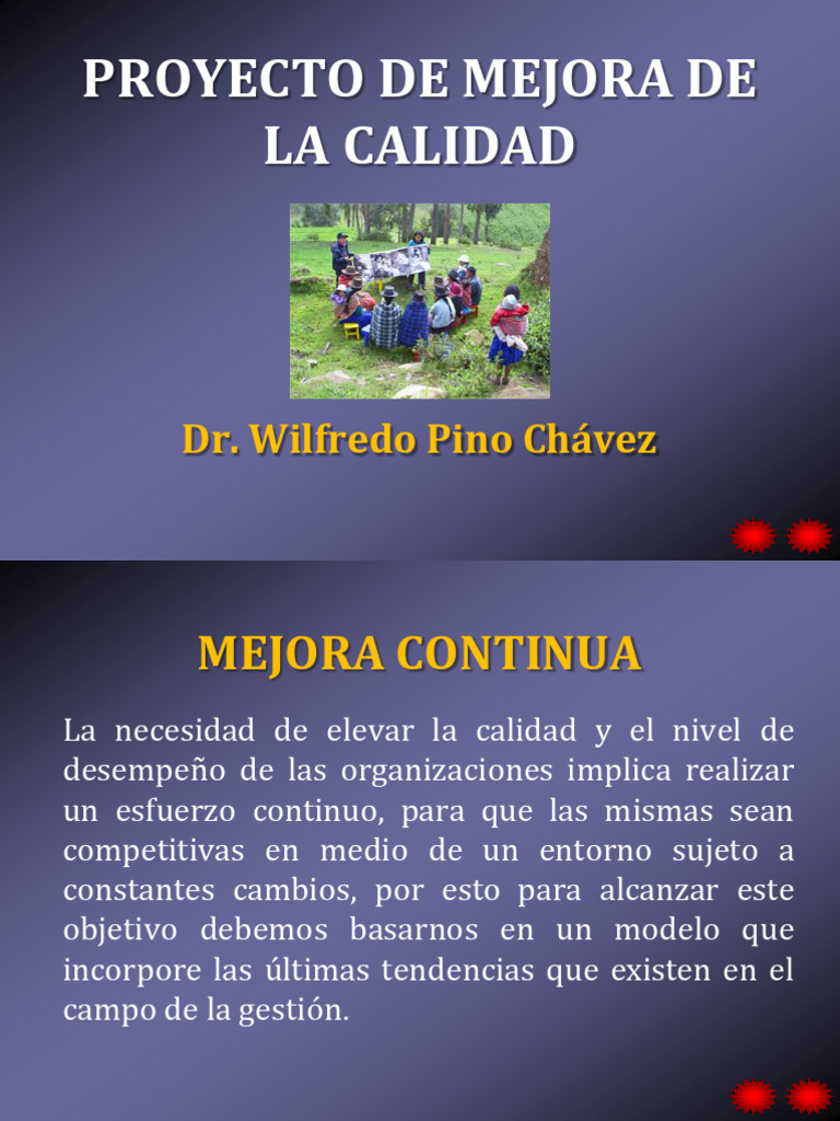 Proyecto de Mejora | PDF