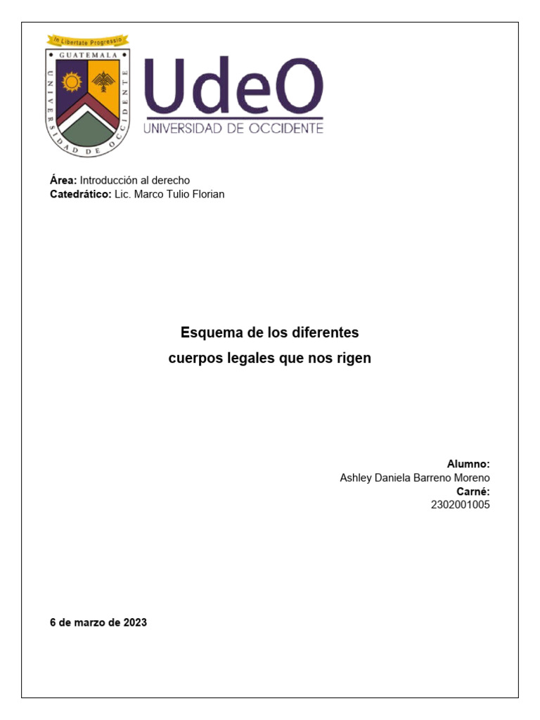 Esquema de Los Cuerpos Legales Que Nos Rigen | PDF