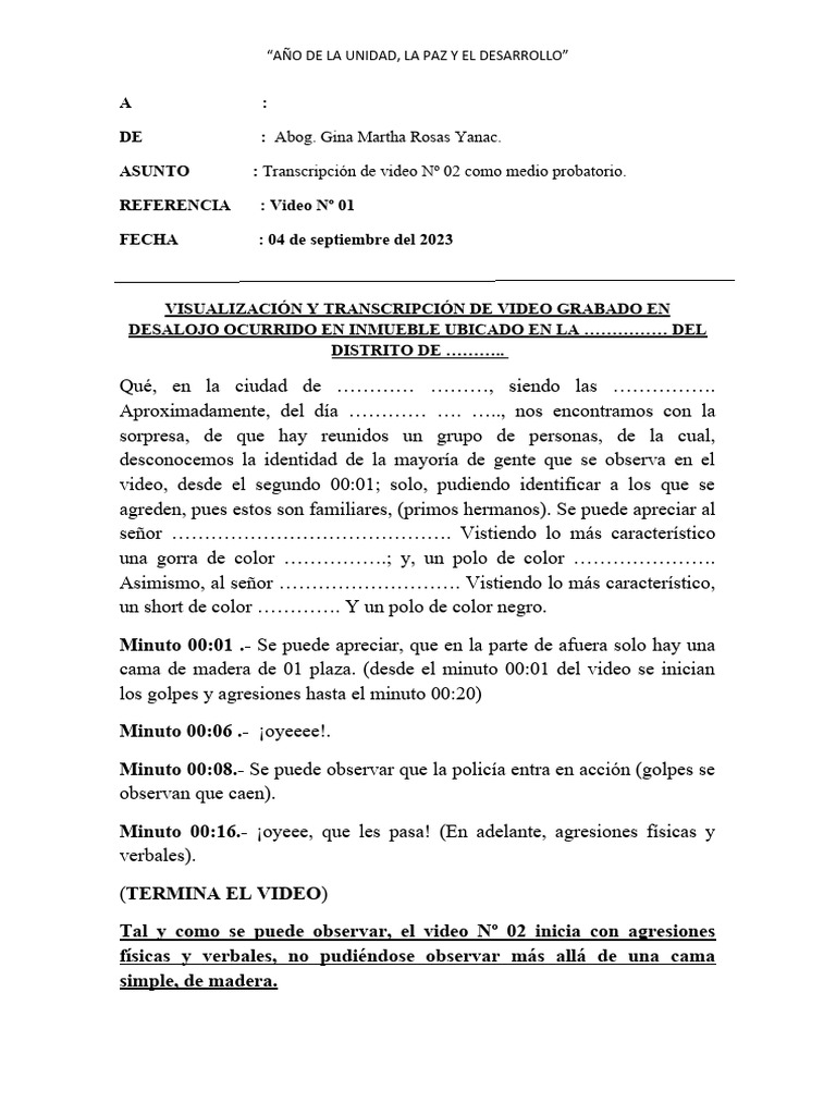 Transcripción de Video A Documento N 02 | PDF