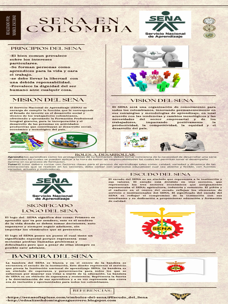 Infografia Sena | PDF