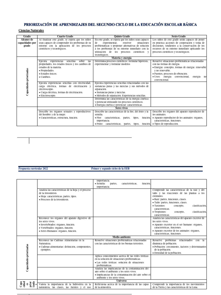 04-Propuesta Curricular 2022 - 1º y 2º Ciclo EEB - Final-1-2 | PDF 04-Propuesta Curricular 2022 - 1º y 2º Ciclo EEB - Final-1-2 | PDF