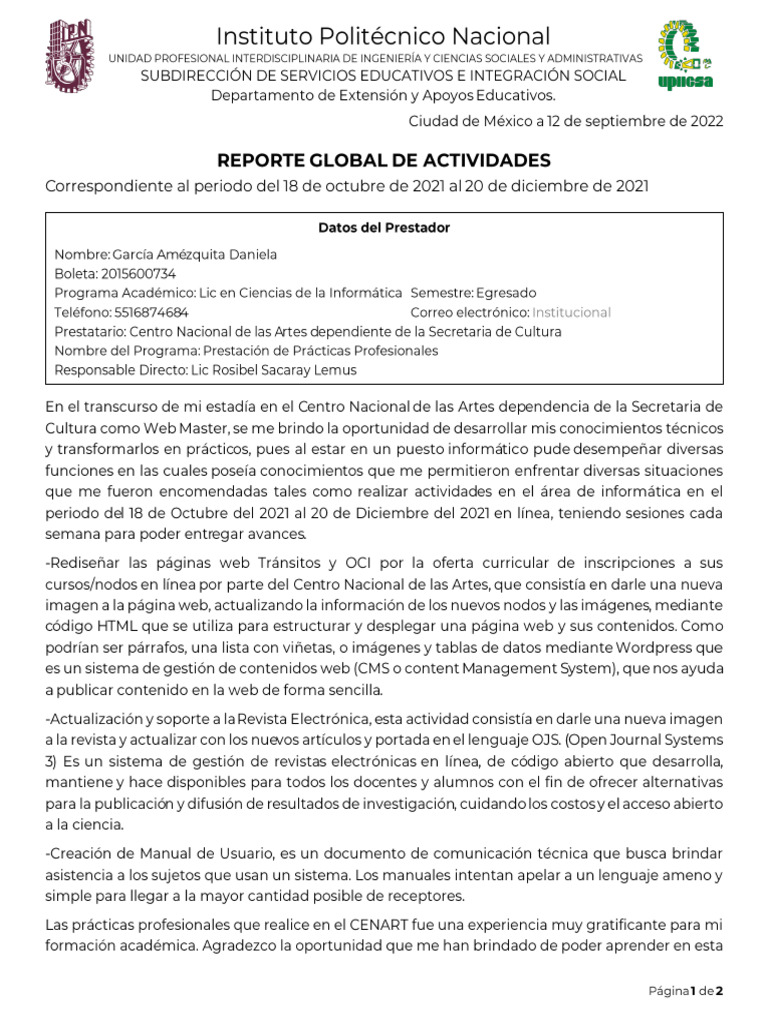 Reporte Final Prácticas Profesionales | PDF