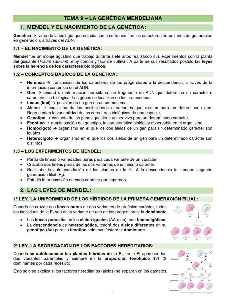 Biología 2ºbach Apuntes Tema 9 - Genética Mendeliana | PDF | Sexo ...