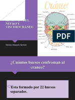 Taller De Anatomia Foramenes Del Craneo Pdf Cráneo Cabeza Y