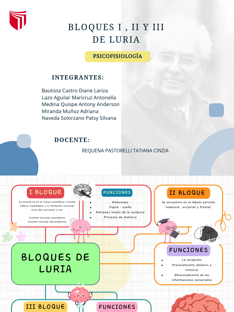 BLOQUES DE LURIA I , II Y III | PDF