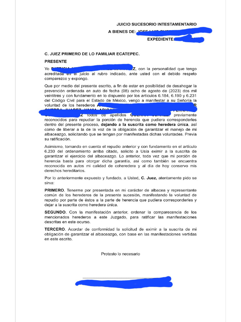 Escrito para Eximir Fianza | PDF