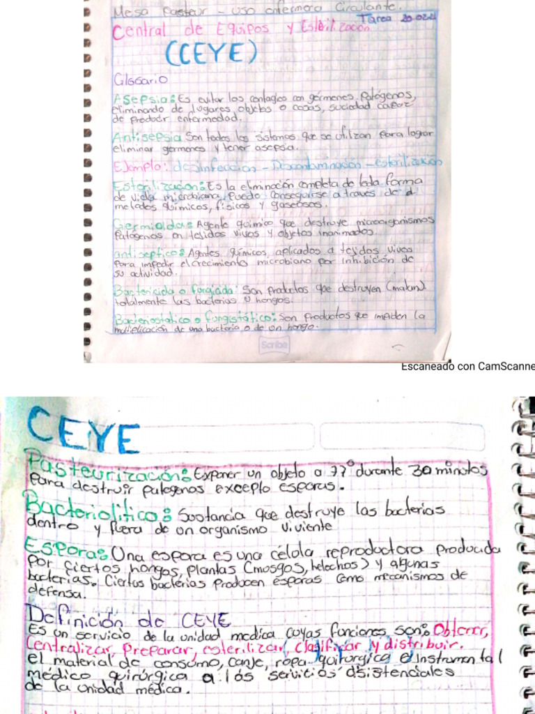 CEYE | PDF