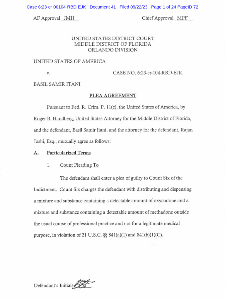 Case Summary: Basil Itani | PDF | Law | Technology & Engineering