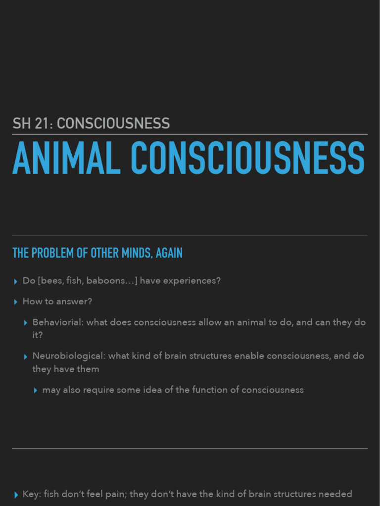 Animal Consciousness | PDF