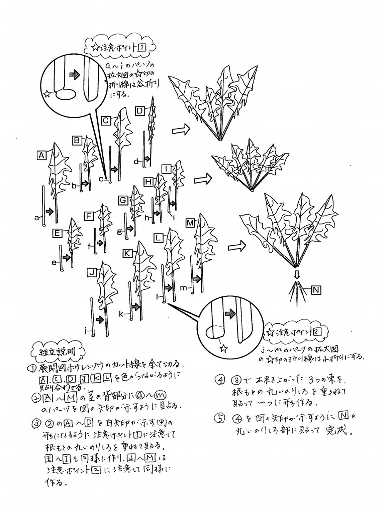 manual-1202-pdf