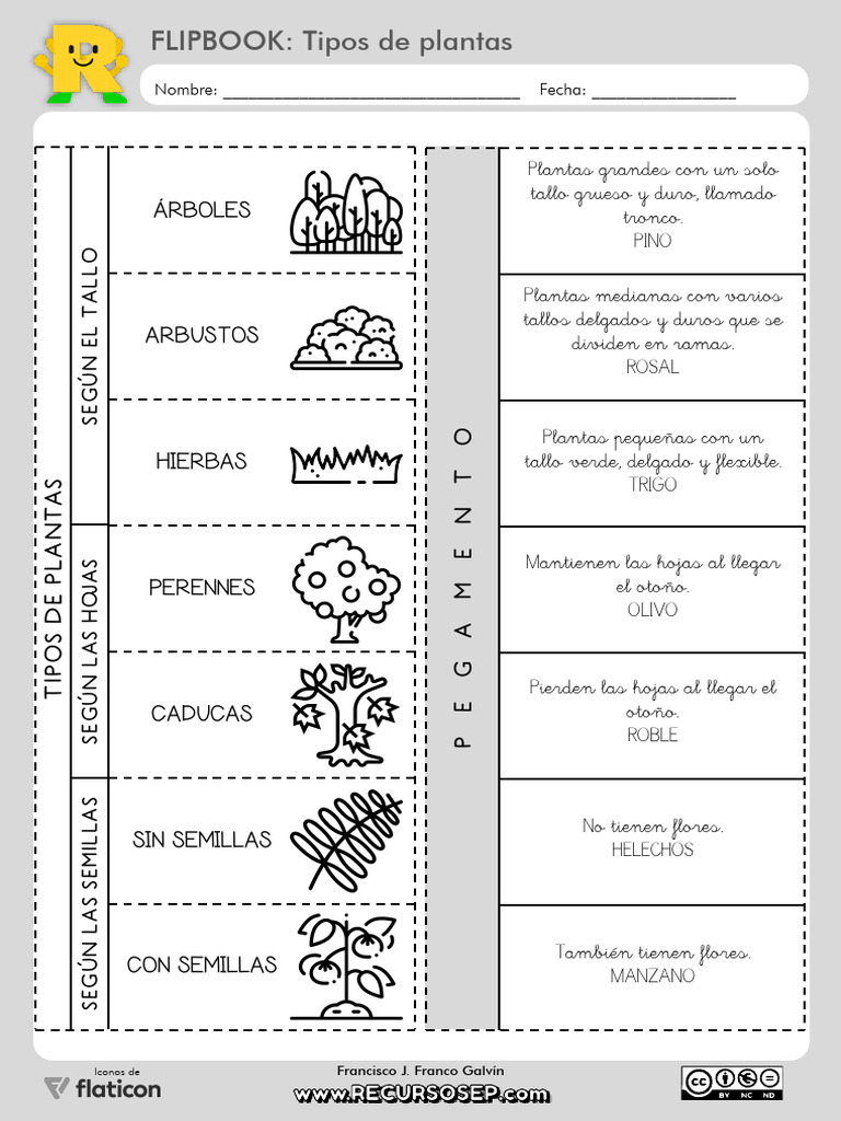 flipbook plantas | PDF