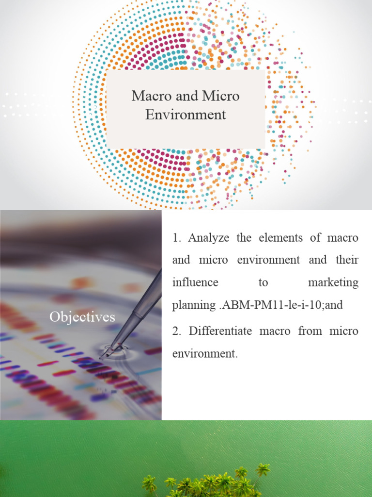 Macro and Micro Environment | PDF