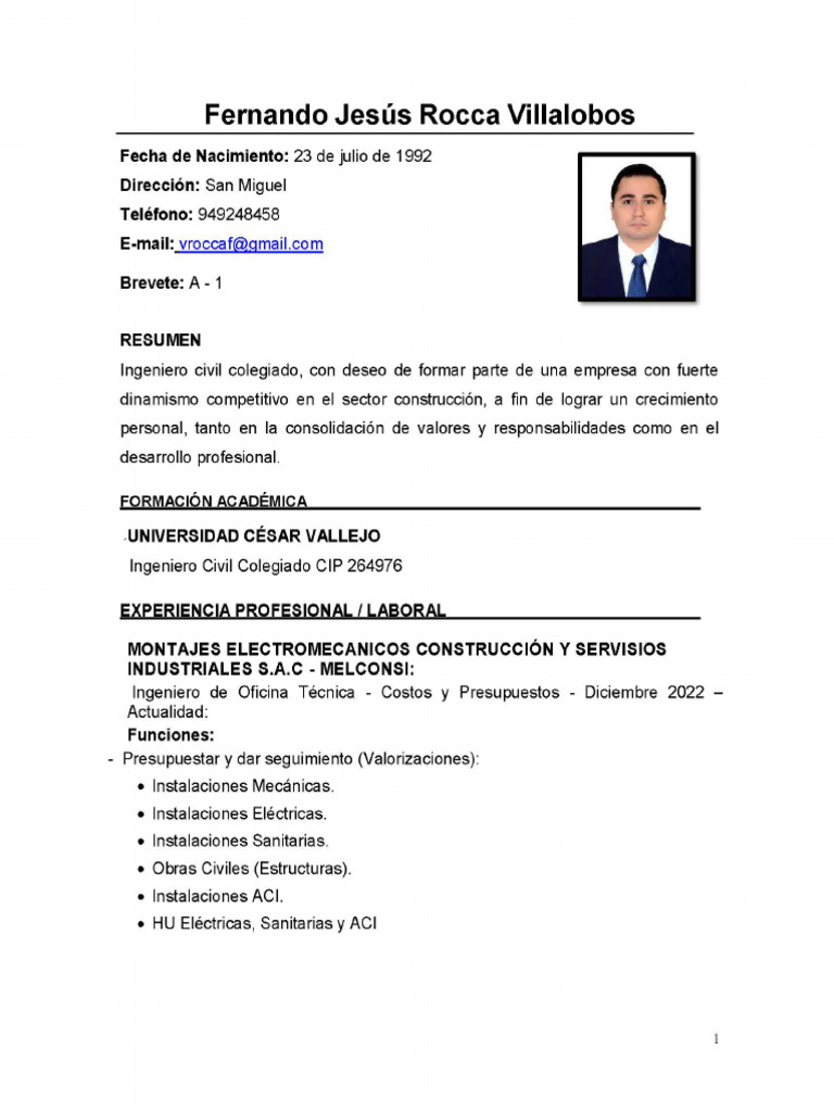 CV Fernando Jesús Rocca Villalobos | PDF