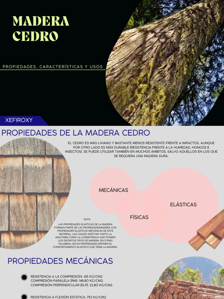 Propiedad de La Madera Cedro | PDF