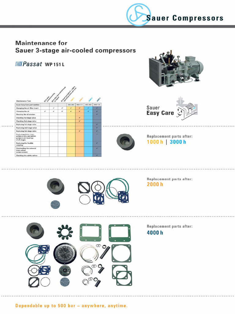 Sauer Easy Care and Example 3L Compressor | PDF