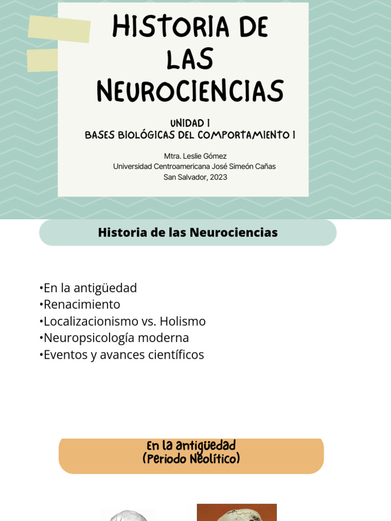 BBCI Historia de Las Neurociencias | PDF