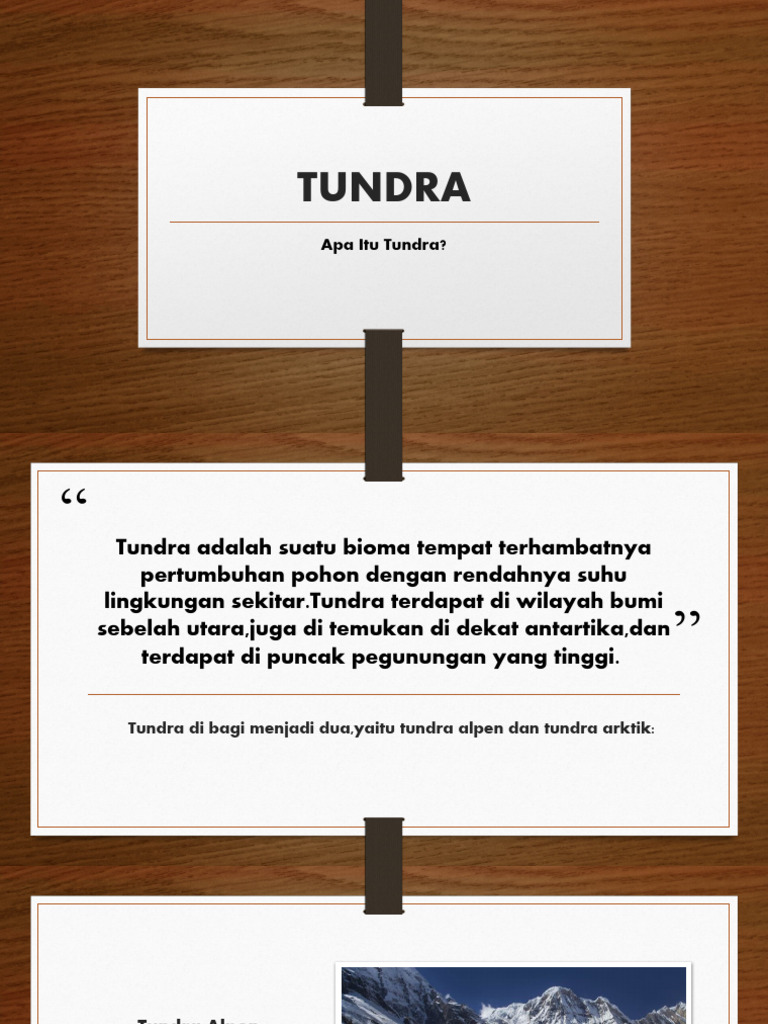 Tundra | PDF