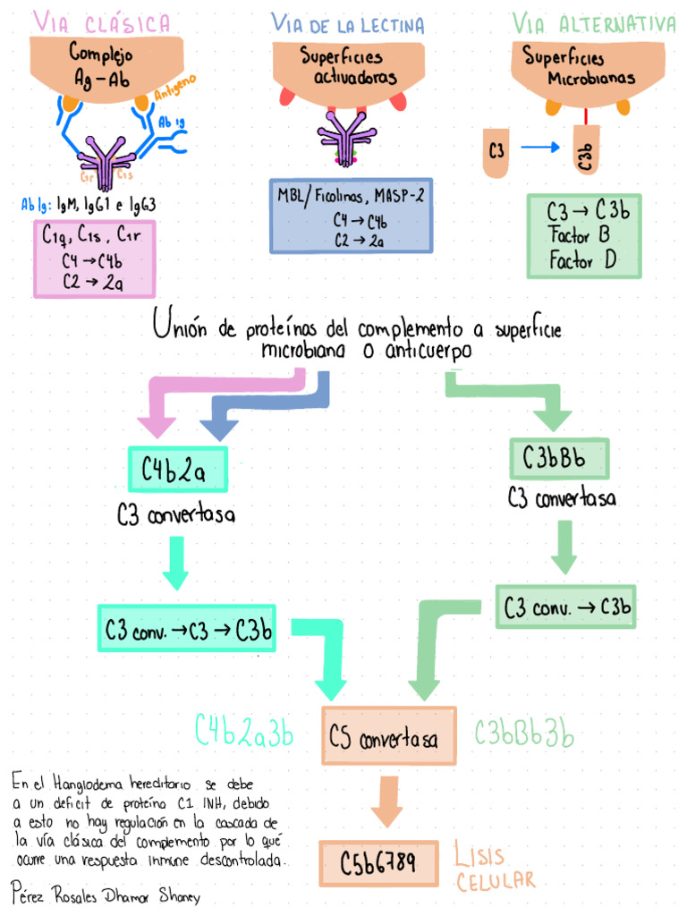Vías Del Complemento. | PDF