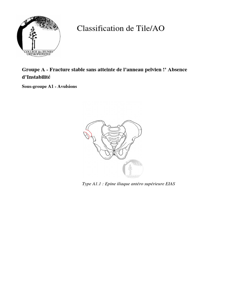Classification de Tile Ao | PDF