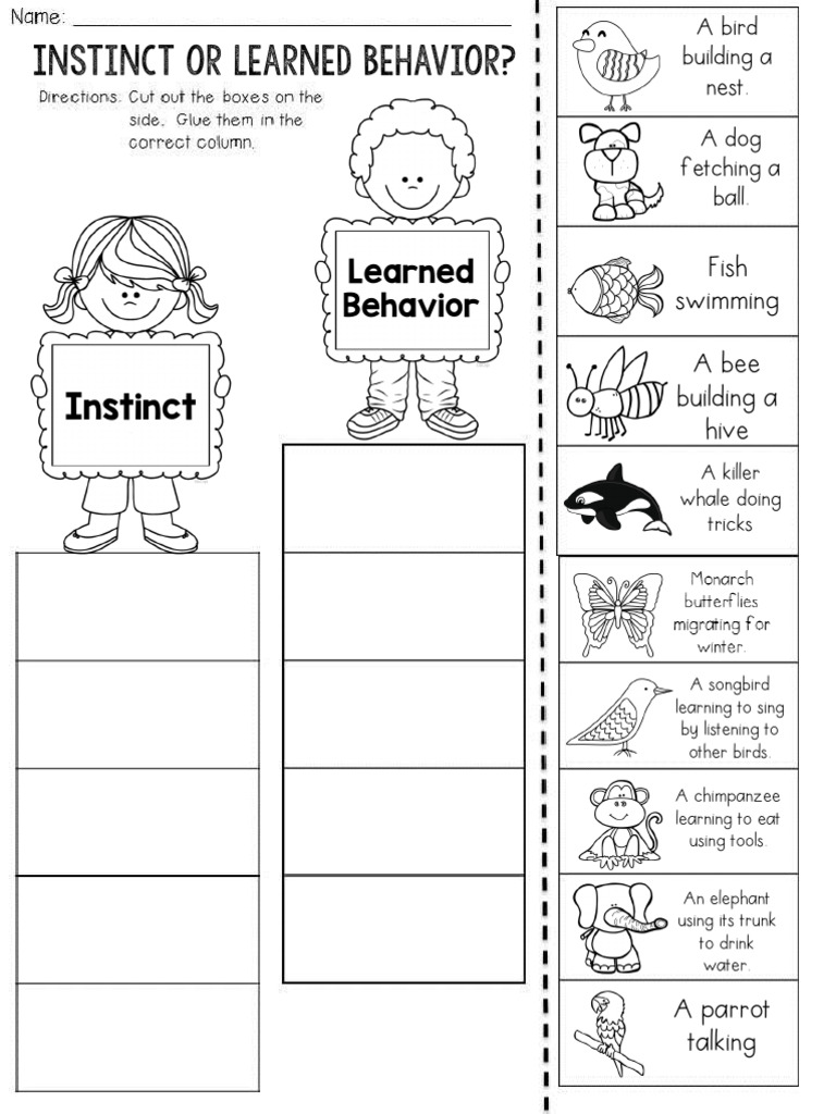 Instinct or Learned Behavior? | PDF