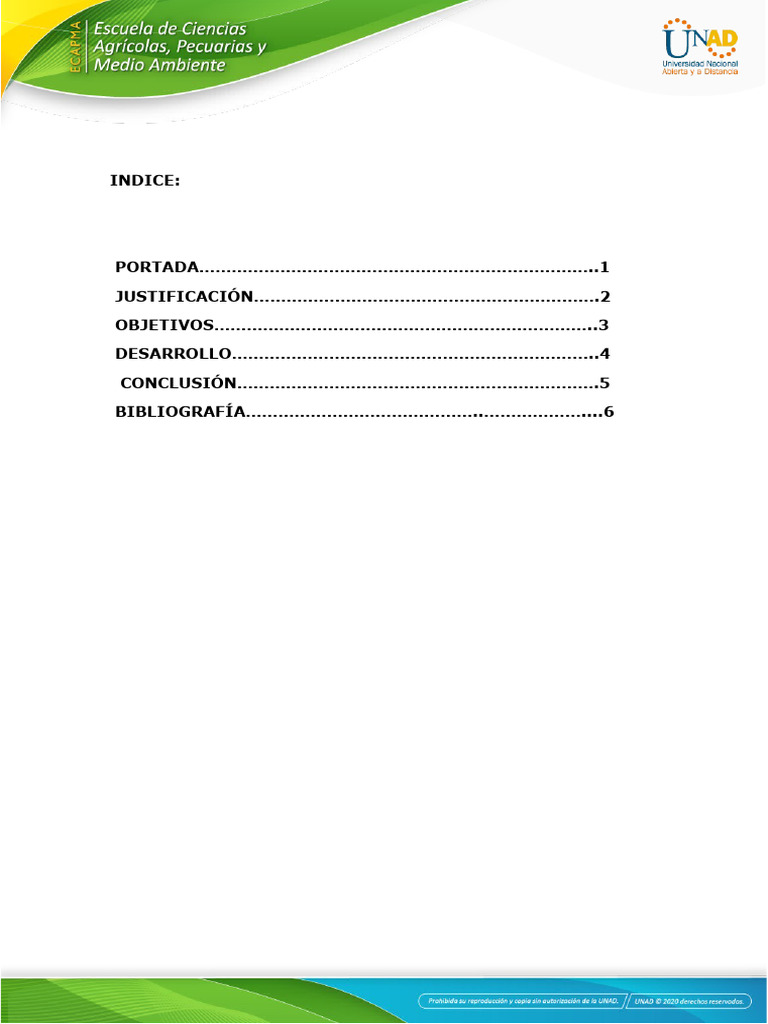 Anexo 1 - Plantilla para El Desarrollo de La Tarea 2 | PDF | Términos anatómicos de ubicación ...