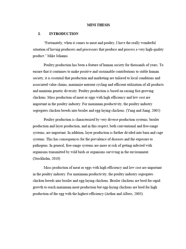 Mini Thesis | PDF