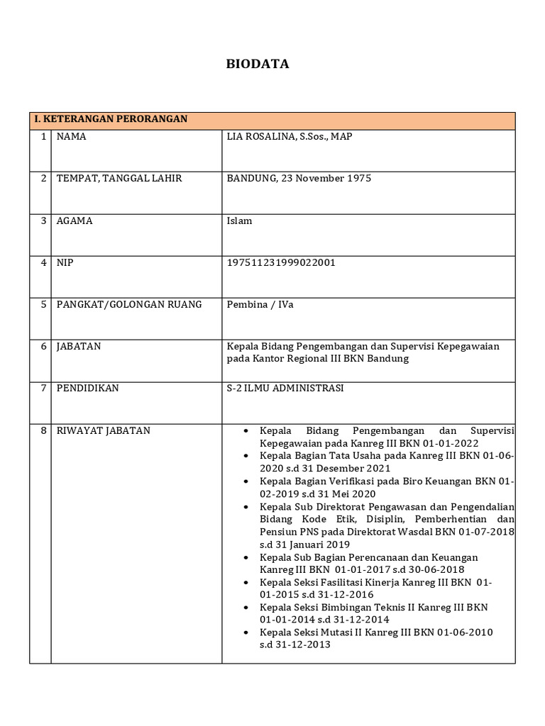 CV Lia Rosalina | PDF