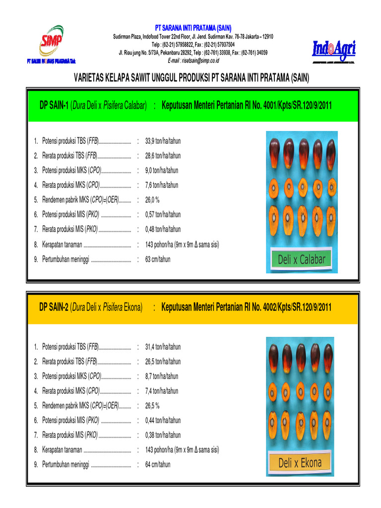 Deskripsi Varietas DP SAIN | PDF