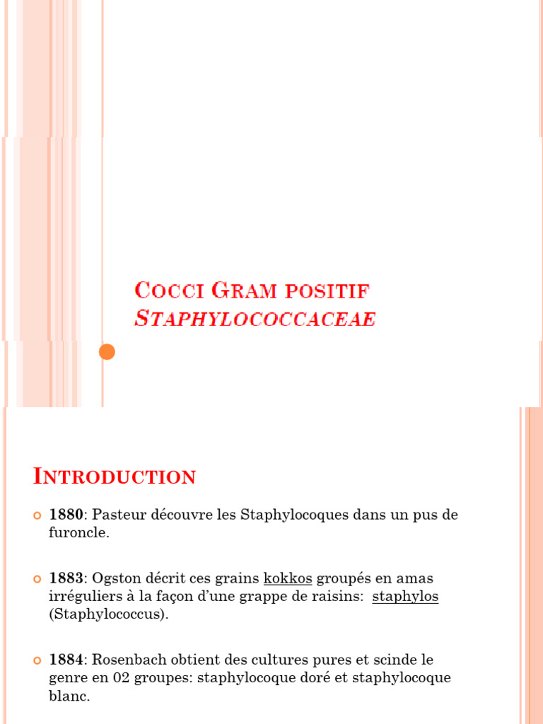 11 Staphylocoques | PDF | Staphylococcus | Staphylocoque doré