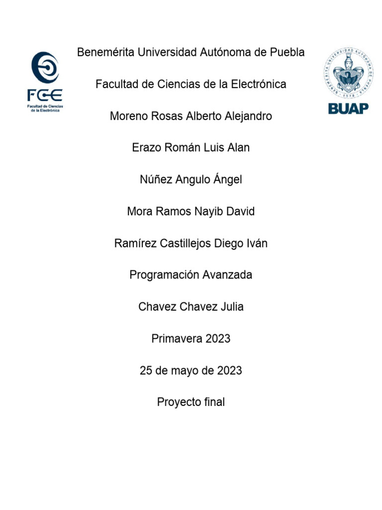 Proyecto Final Programacion | PDF