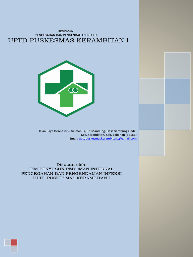 Pedoman Internal PPI | PDF | Kesehatan Holistik