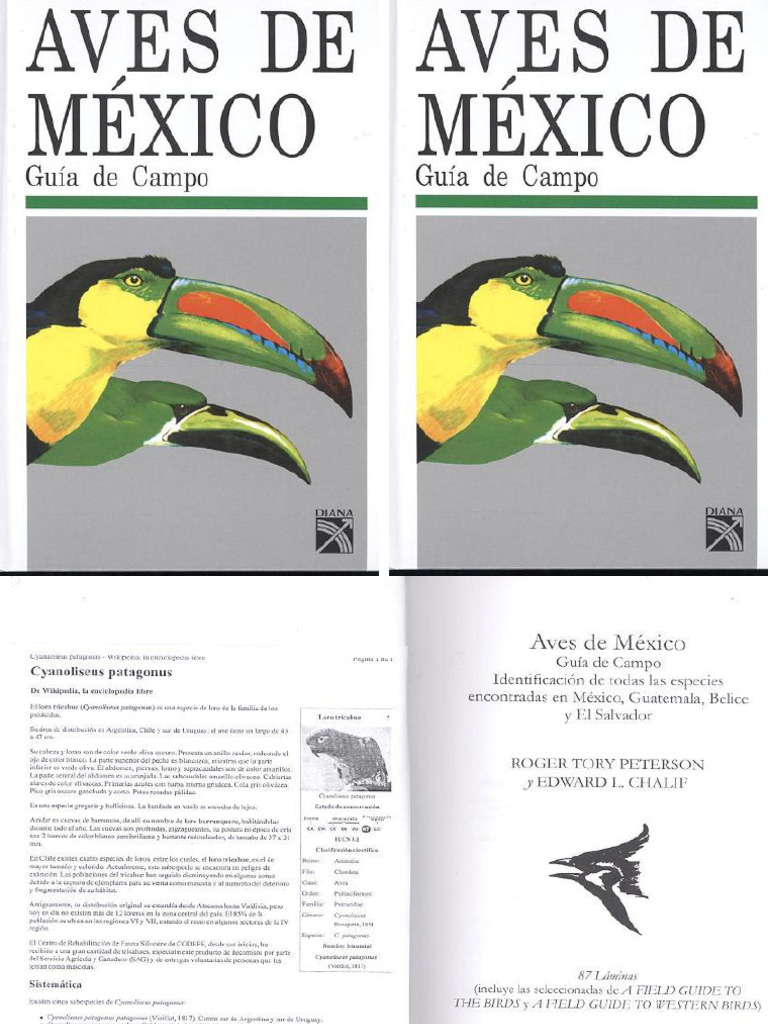 Guia de Aves Peterson | PDF