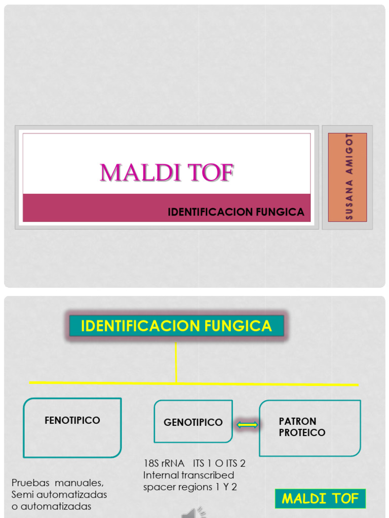 MALDI TOF - 2020 | PDF