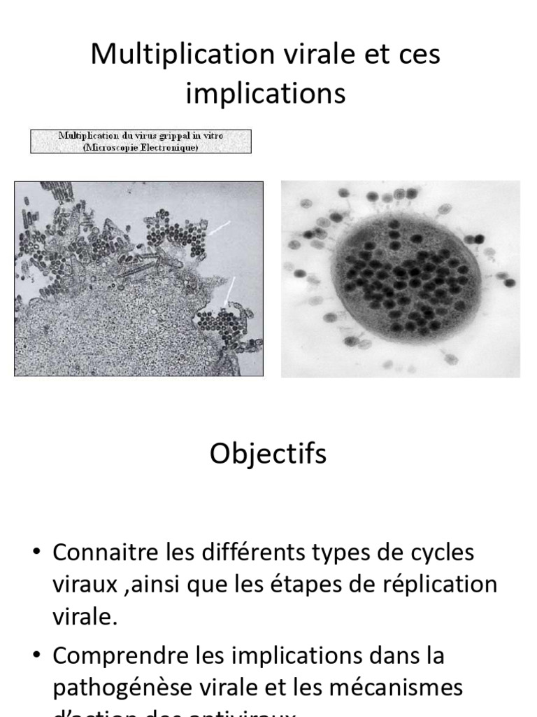 2.multiplication Virale | PDF