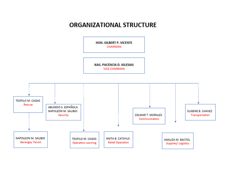 Organizational Structure | PDF
