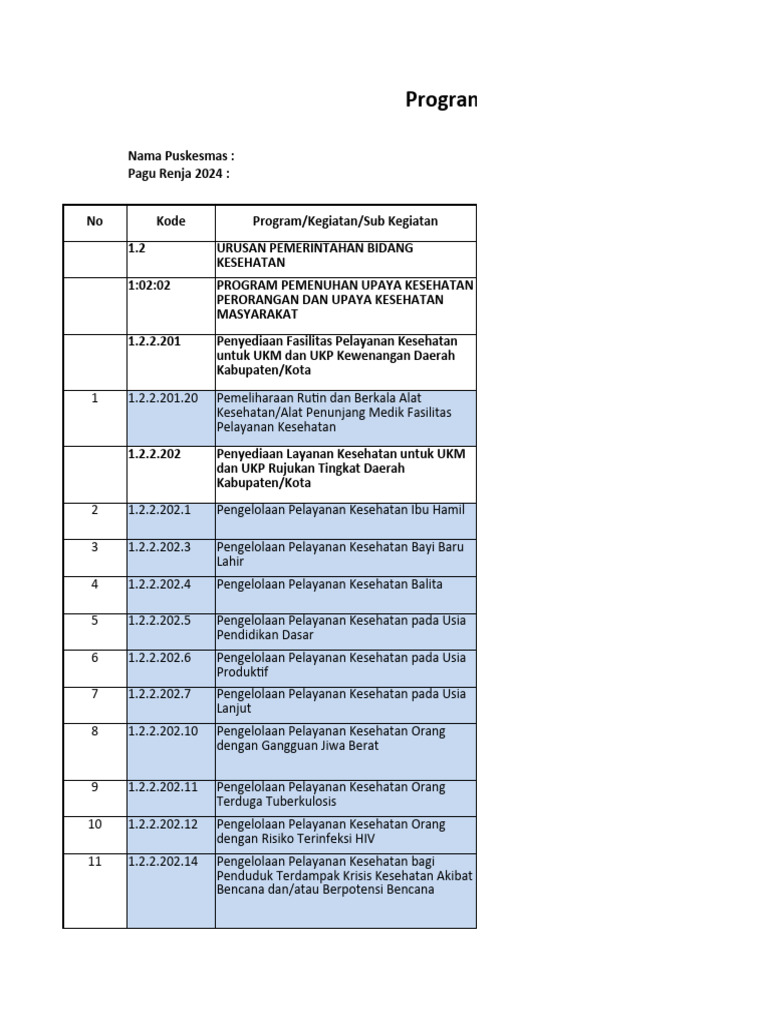 Format RKA PKM 2024 - Copy | PDF